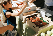 Everything You Need to Know About Farmers Market Insurance