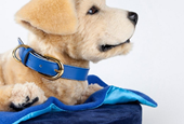 Tombot and Creature Shop create "hyper-realistic" robotic puppy for ...